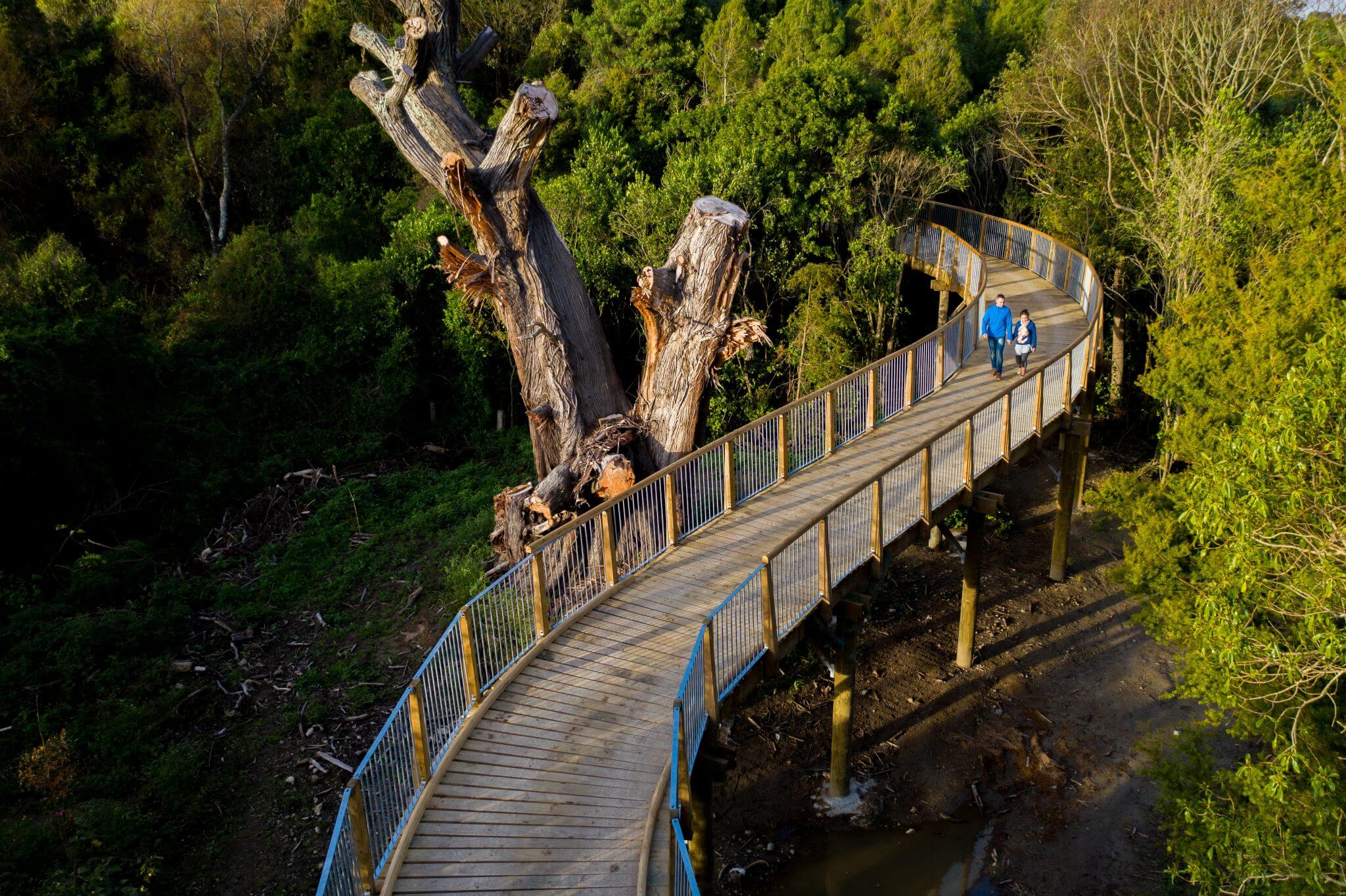 Explore Manawatū with your whānau