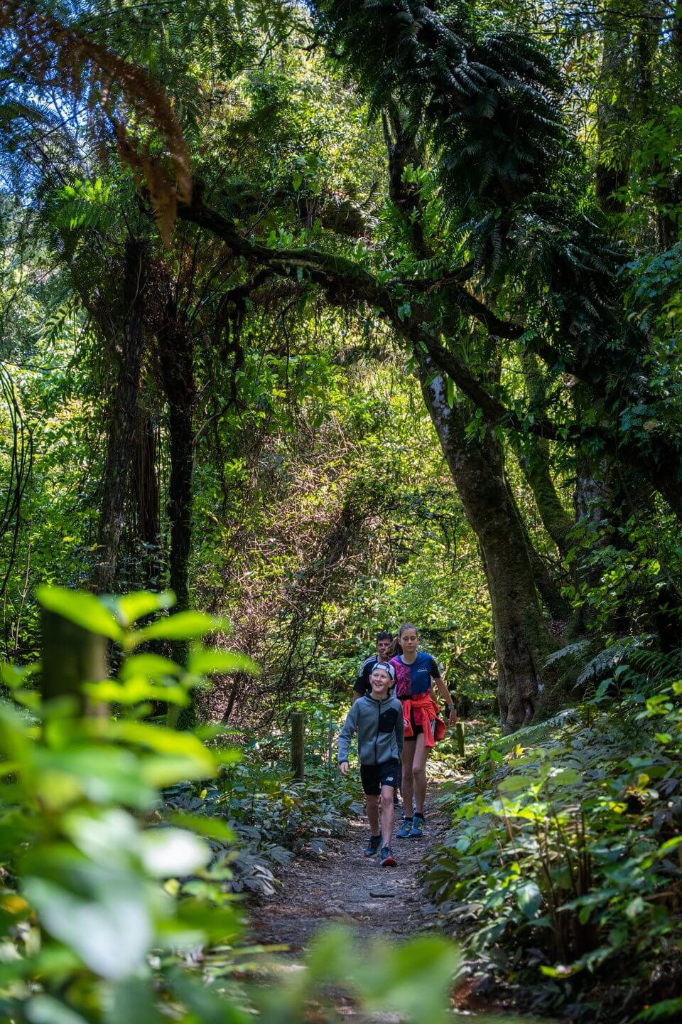 Sledge Track - fun and adventure for everyone