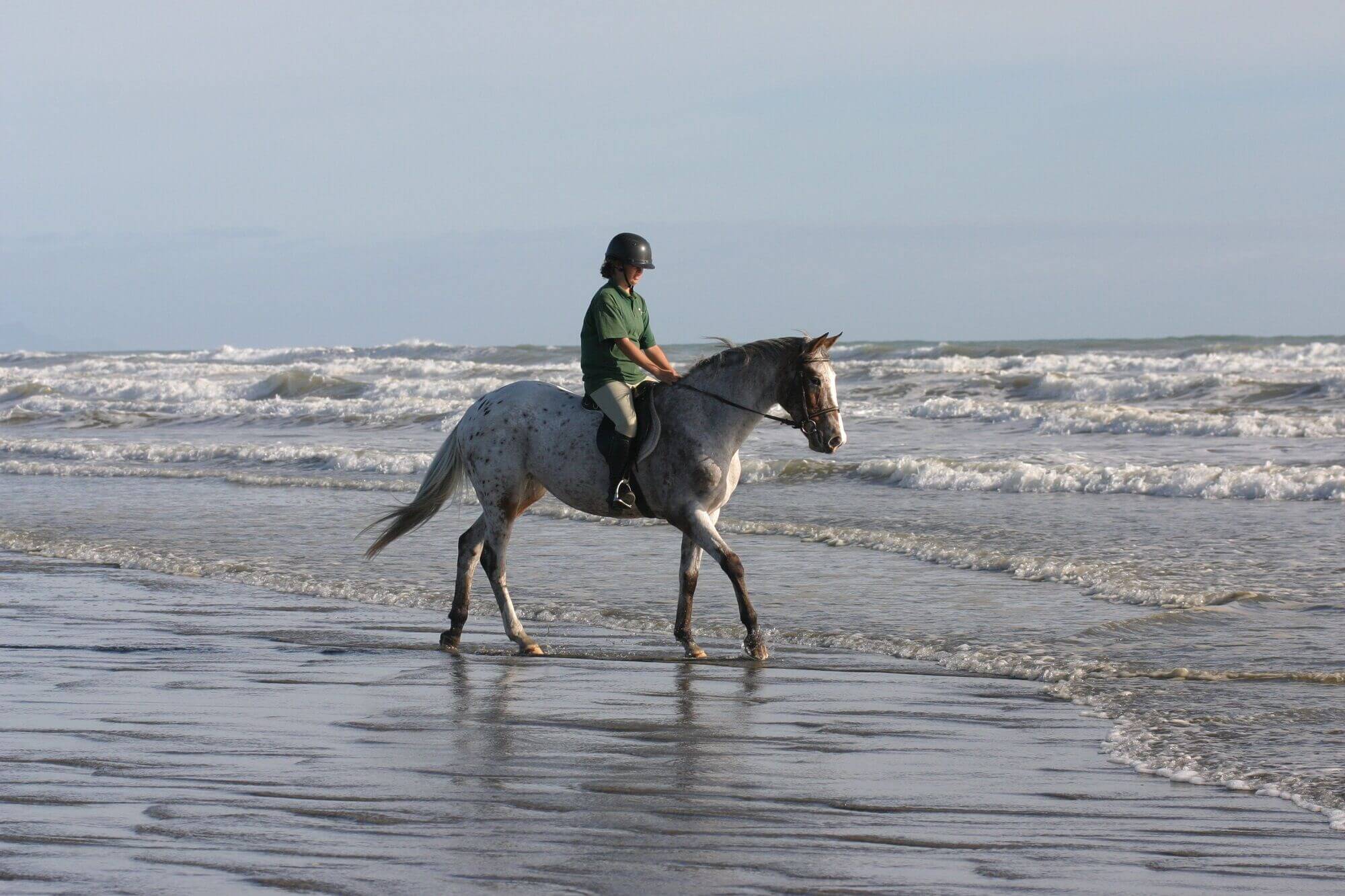 Tangimoana Beach - Manawatū & Palmerston North